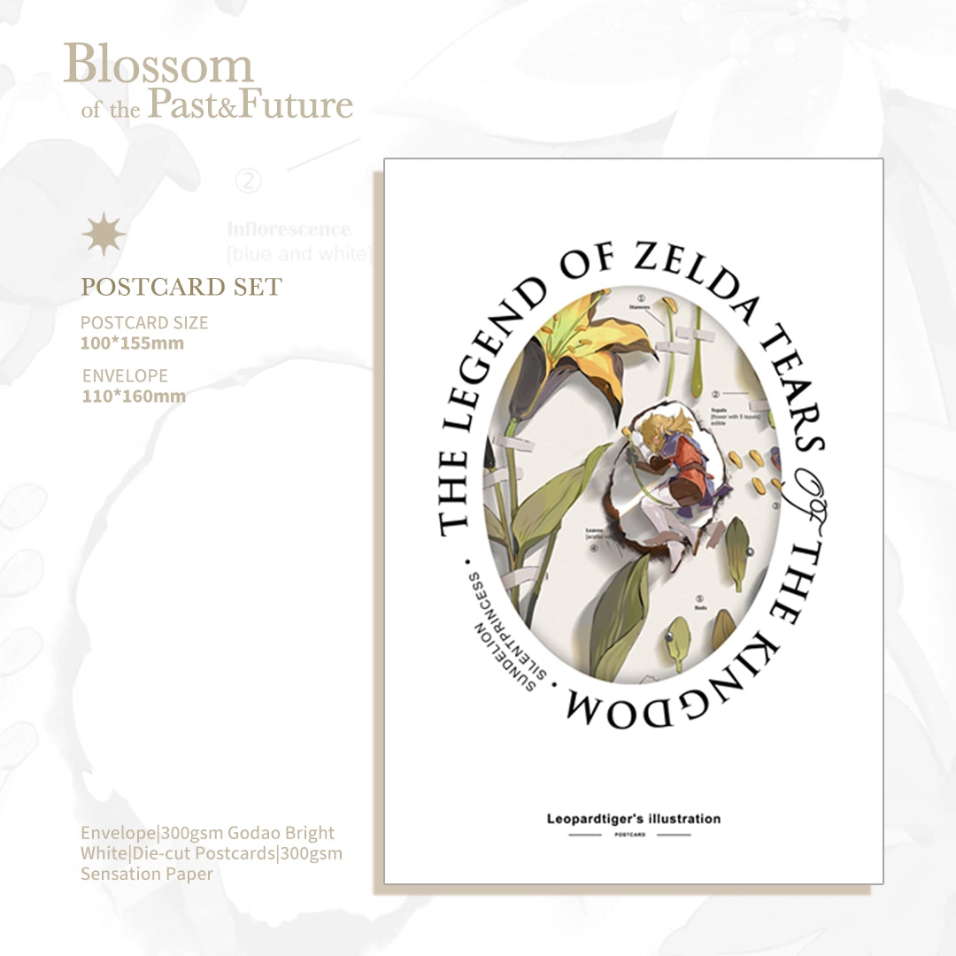 The Legend of Zelda: Tears of the Kingdom Doujin Link Postcard Set | A ...
